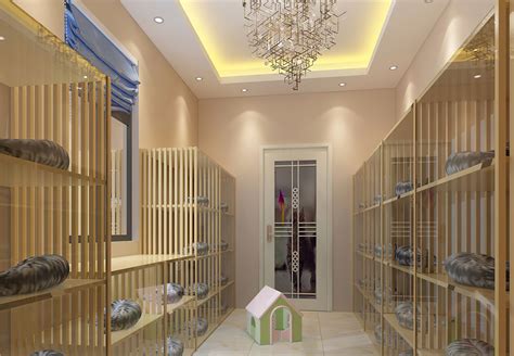 杭州宠物店 宠物店店铺 宠物店 第2页 大山谷图库