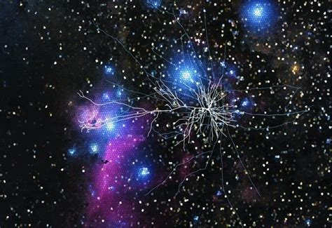 New Window Into Brains Computational Function Neuroscience News R
