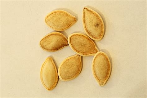 About Seeds And Seed Saving Part Of Manitoba Master Gardener Association