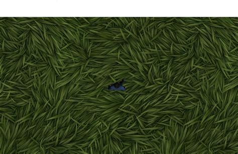 Camera On Design View Does Not Show The Correct Position In Unity