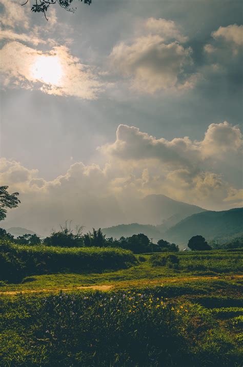 Unsplash Images