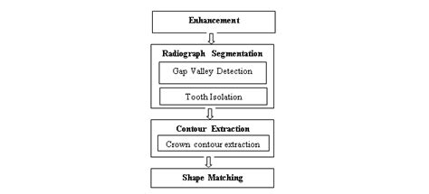Logical Diagram Of The Human Identification System Fig 3 Diagram Of