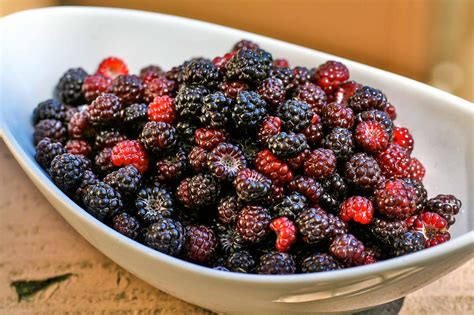 Black Cap Raspberry Shrub Recipe Black Cap Raspberry Shrub Recipe