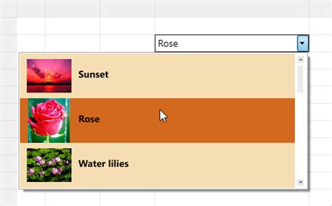 Wpf Grid Control Wpf Virtual Grid Syncfusion