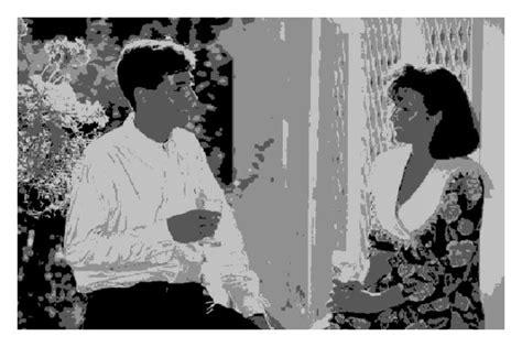 segmentation results in 4 clusters levels of image “157055” after