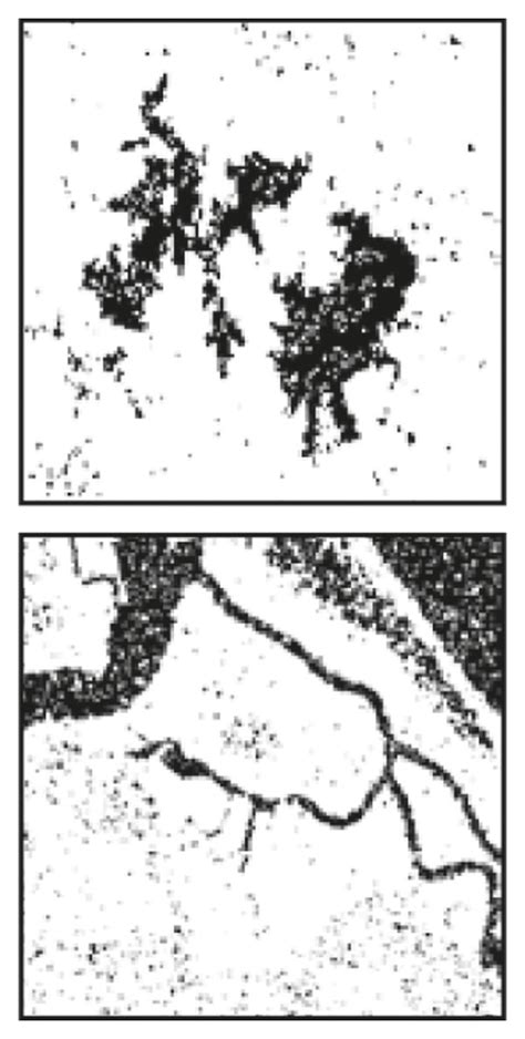 Remote Sensing Images With Salt And Pepper Noise And Segmentation Download Scientific Diagram