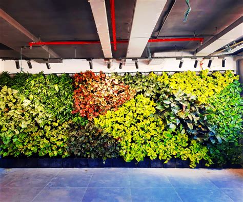 Ecozen Projects – EcoZen Designs