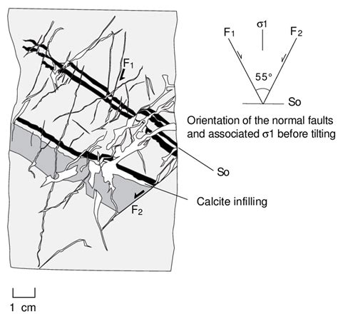 Conjugate Normal Faults Formed Before Tilting Of The Sedimentary