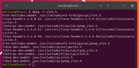 How To Tell The Package Name Contains A Specific File In Ubuntu Linux