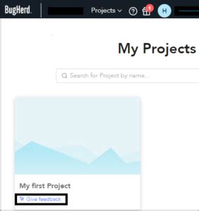 BugHerd Review Visual Feedback And Bug Tracking Tool