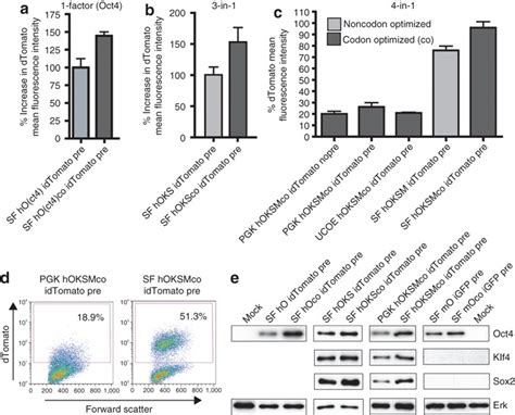 increased reprogramming factor rf expression by vector modifications