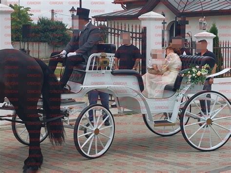 Cătălina Ponor în Caleașcă La Petrecerea De Nuntă Replicaonlinero