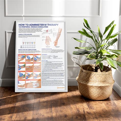 How To Administer Iv Therapy Poster Guide To Intravenous Therapy Anatomystuff