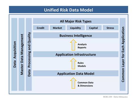 Bcbs 239 Risk Data Adequacy Ppt Business Banking And Finance Business
