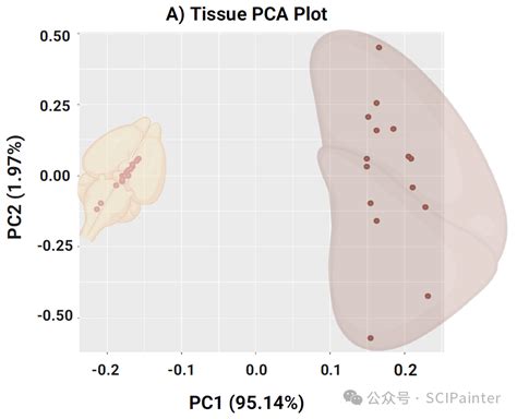 如何让你的pca图更加生动有趣？工具剪影素材