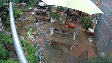 검은댕기해오라기 농장 뒤 수로에서 키우고 있는 물고기를 이 새가 다 잡아먹고 있어요 불쌍한 물고기들 ㅠㅠ Youtube