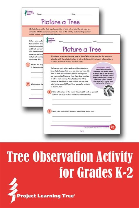 Two Worksheets With The Text Tree Observation Activity For Grade K Including An