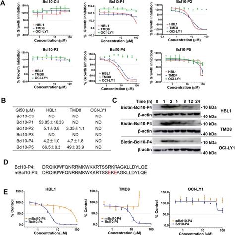 Bpis Selectively Repressed The Proliferation Of Abc Dlbcl Cells A Download Scientific Diagram