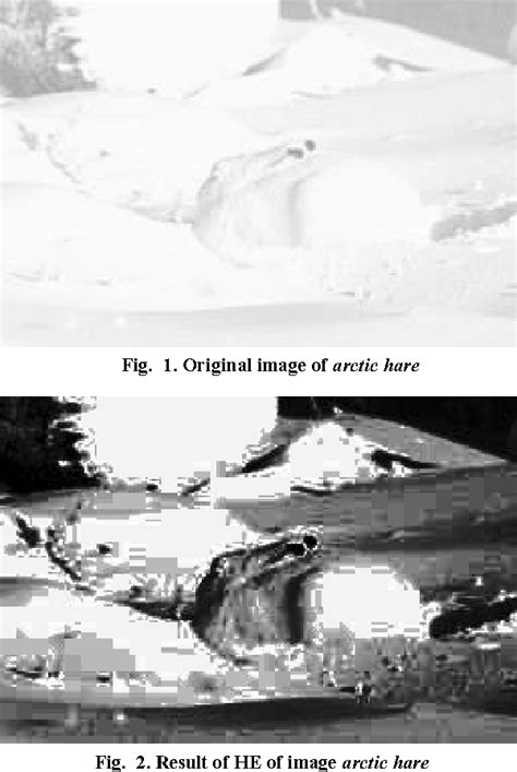 Histogram Equalization Semantic Scholar