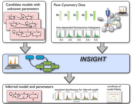 Model And Parameter Inference Control Theory And Systems Biology Laboratory Eth Zurich