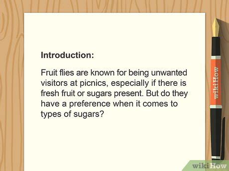 How To Write A Science Lab Report With Pictures WikiHow