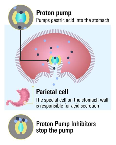 What Can I Take For Indigestion While Taking Protonix
