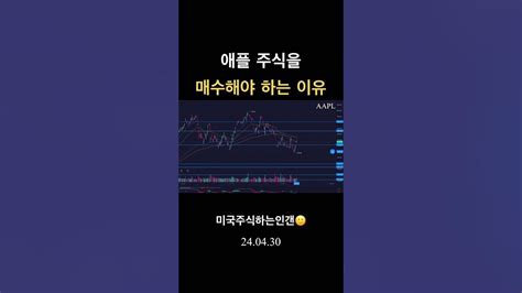 애플 주식을 지금 매수해야 하는 이유 Youtube