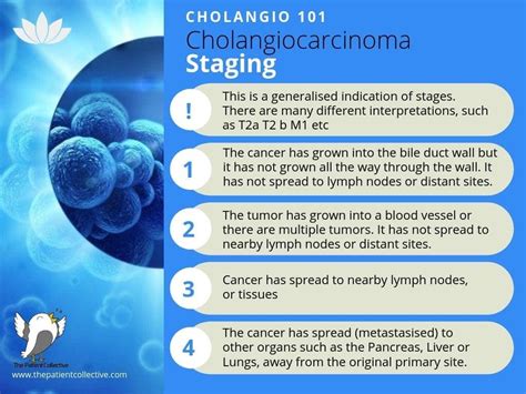 Treat The Immune Not The Cancer Cholangiocarcinoma Australia