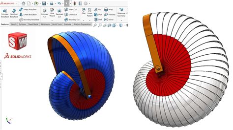 3d Seashell Modeling Solidworks Tutorial Youtube