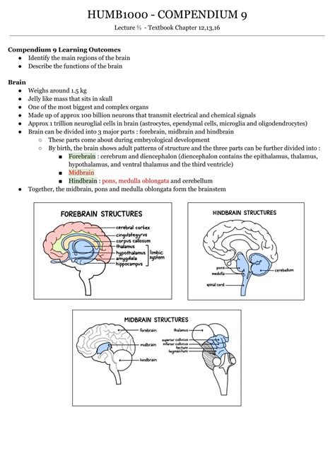 Compendium 9 Humb1000 Human Structure And Function Curtin Thinkswap