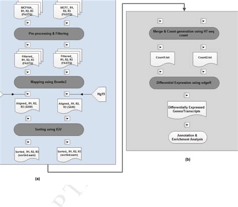 Rna Seq Workflow The Input Consists Of Sequencing Reads Fastq Files