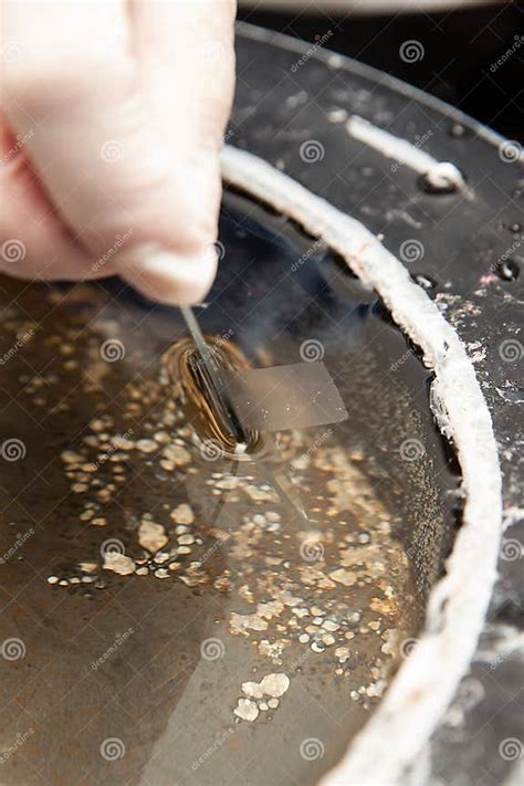 Scientist Preparing A Paraffin Embedded Tissue For Pathology Analysis Floating Method For
