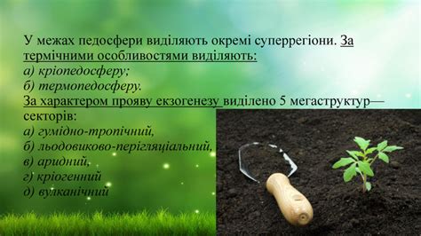 Презентація "Педосфера"