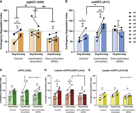 Controlling Ones World Identification Of Sub Regions Of Primate Pfc