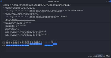 arping使用 arping s csdn博客