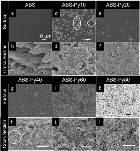 Scanning Electron Microscopy Sem Surface Top And Cross Section Download Scientific Diagram