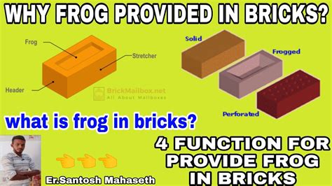House Brick Frog at Alex Ansell blog