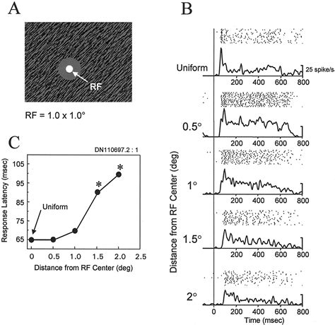 Contextual Modulation In Primary Visual Cortex Of Macaques Journal Of