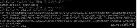 debian安装ssh（傻瓜教程） 证书免密登录 debian ssh csdn博客