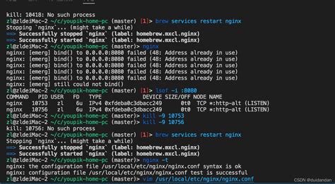 Nginx的使用以及端口被占用的情况、怎么重置端口、kill进程nginx 启动后普通用户查看 端口占用情况 Csdn博客
