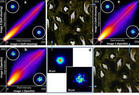 Nonlinear Photonics Erc Lab Department Of Information Engineering Electronics And