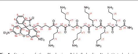 Figure 1 From Structural Characterization Of A Peptoid With Lysine Like