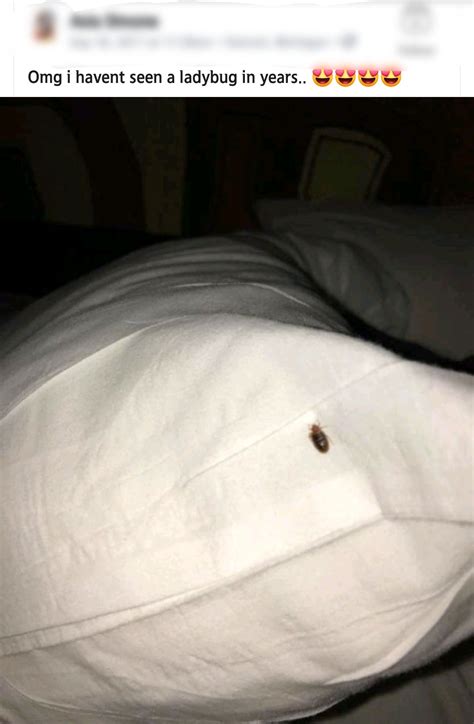 Poor Girl Doesnt Know A Roach From A Ladybug R Trashy