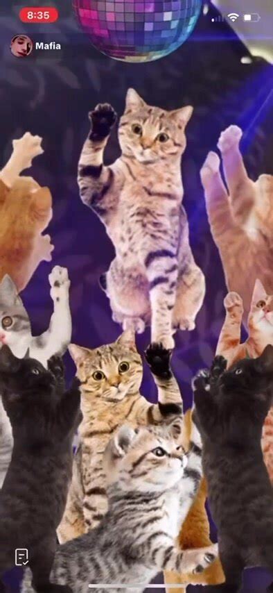 Tiktok Live Leaks 51