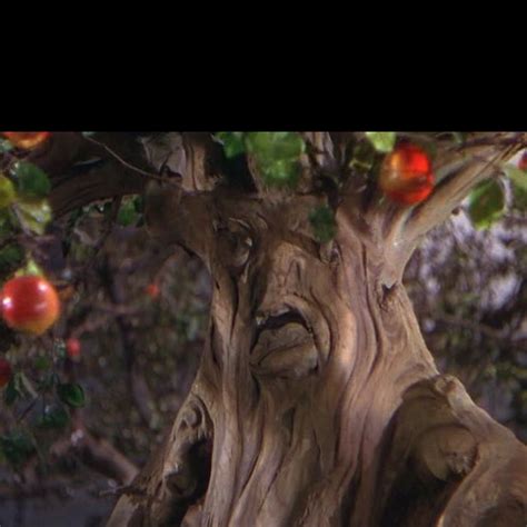 Wizard Of Oz 1939 The Timeless Favorite Movie Hickory Wizard Of
