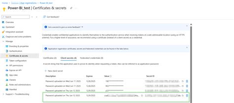 Azure Power Bi Rest Api Missing Application Permissions Dataset