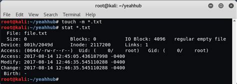 How To Use Touch Command Effectively In Kali Linux Yeah Hub