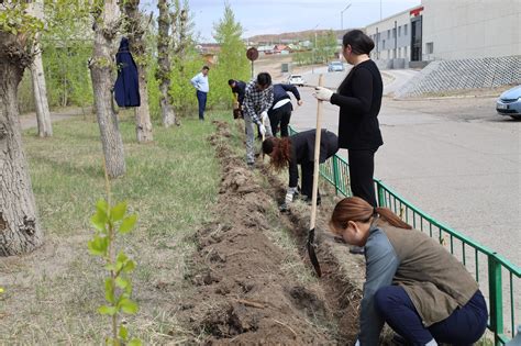 ТӨРИЙН АЛБАН ХААГЧИД ДАРХАН СУМЫН ЗДТГ ЫН ГАДНА ТАЛБАЙД 600 ХАЙЛААС ТАРИЛАА