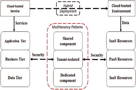 Mapping Of Degrees Of Tenant Isolation To Cloud Hosted Services And