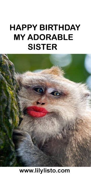 91 Happy Birthday Sister Memes Artofit